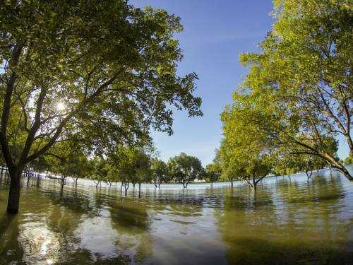 Resort Recanto Da Natureza em Mangue Sêco, Bahia